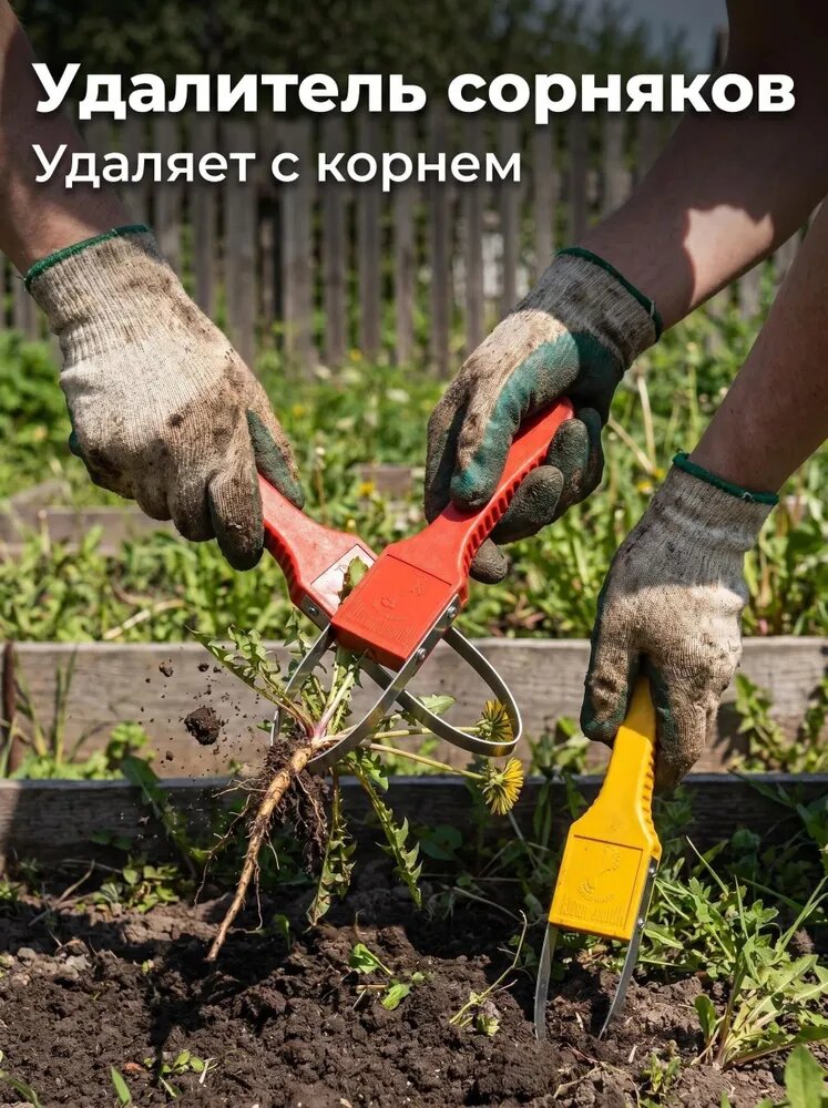 Рыхлитель , Веерные, Нержавеющая сталь, 5.5 см