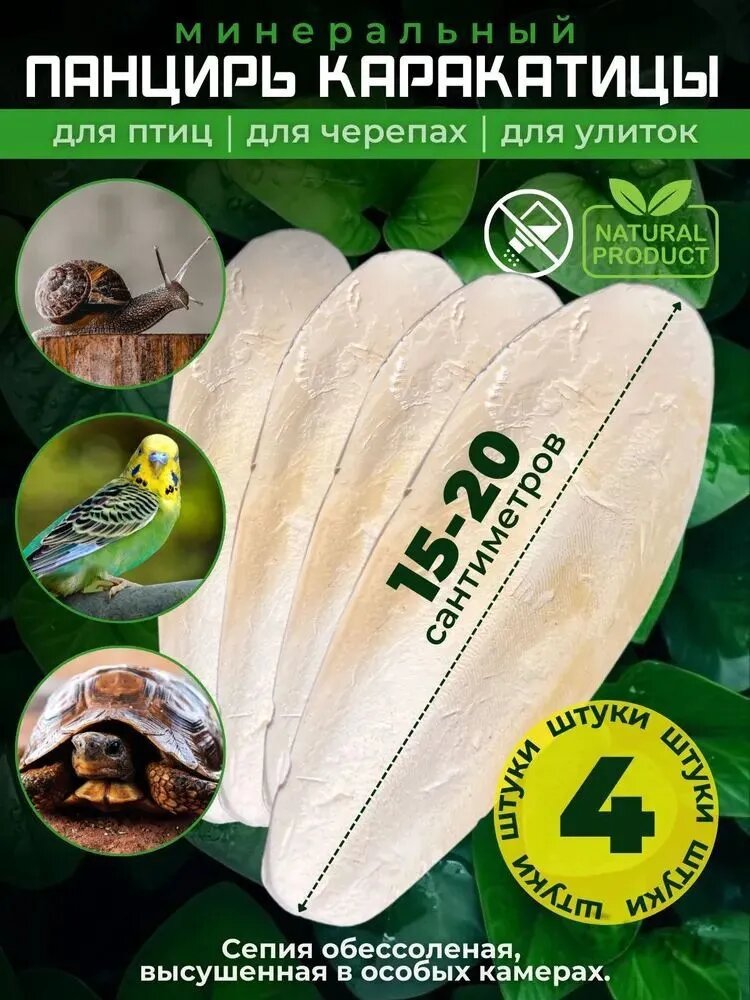 Сепия 4 шт- Панцирь каракатицы, 15-20см.
