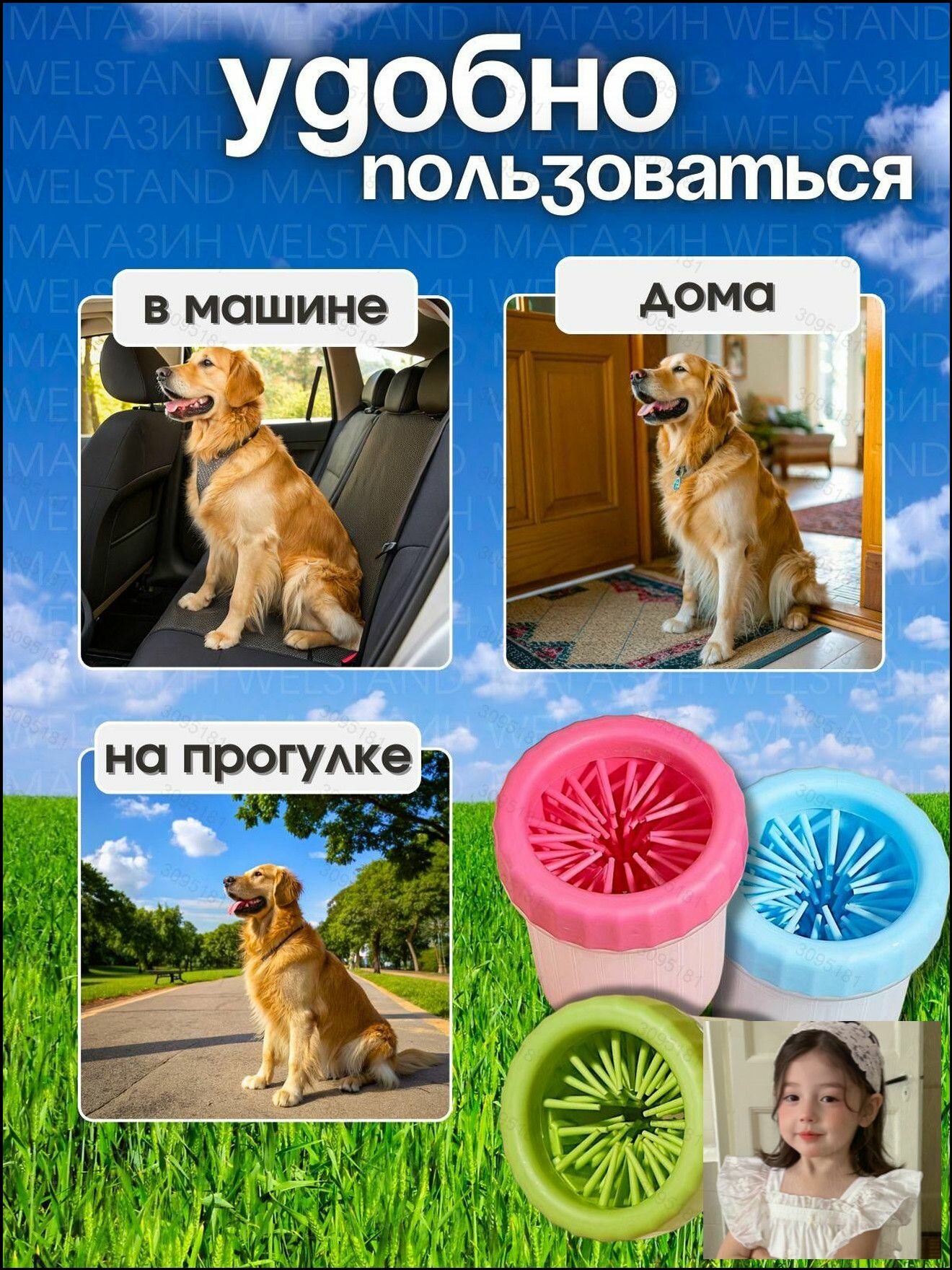 Лапомойка — фото 1