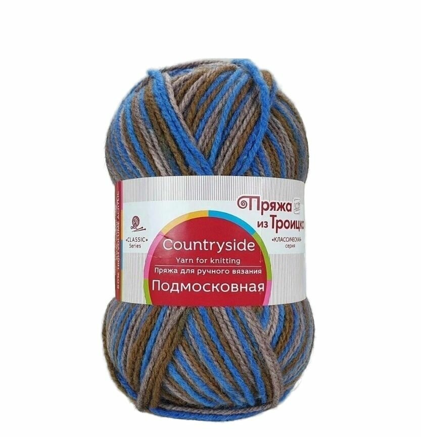 Пряжа Троицкая Подмосковная 2605 (5 мотков по 100г/250м) секционный/принт