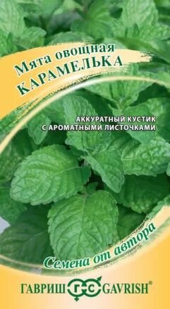 Семена Мята Карамелька, 0,05г , Гавриш Карамелька