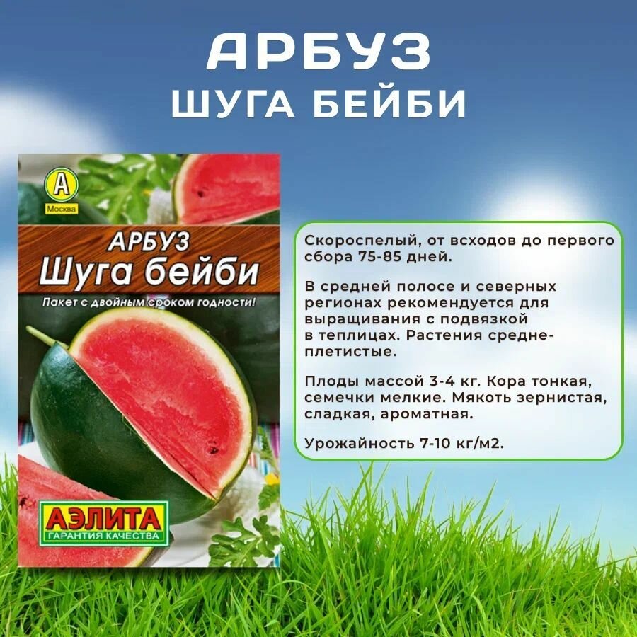 Семена Арбуз Шуга Бейби 15 шт семян, Агрофирма аэлита арбуз шуга бейби семена аэлита