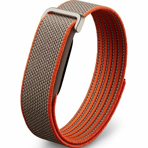 Фитнес-браслет Google FitBit Air Rye