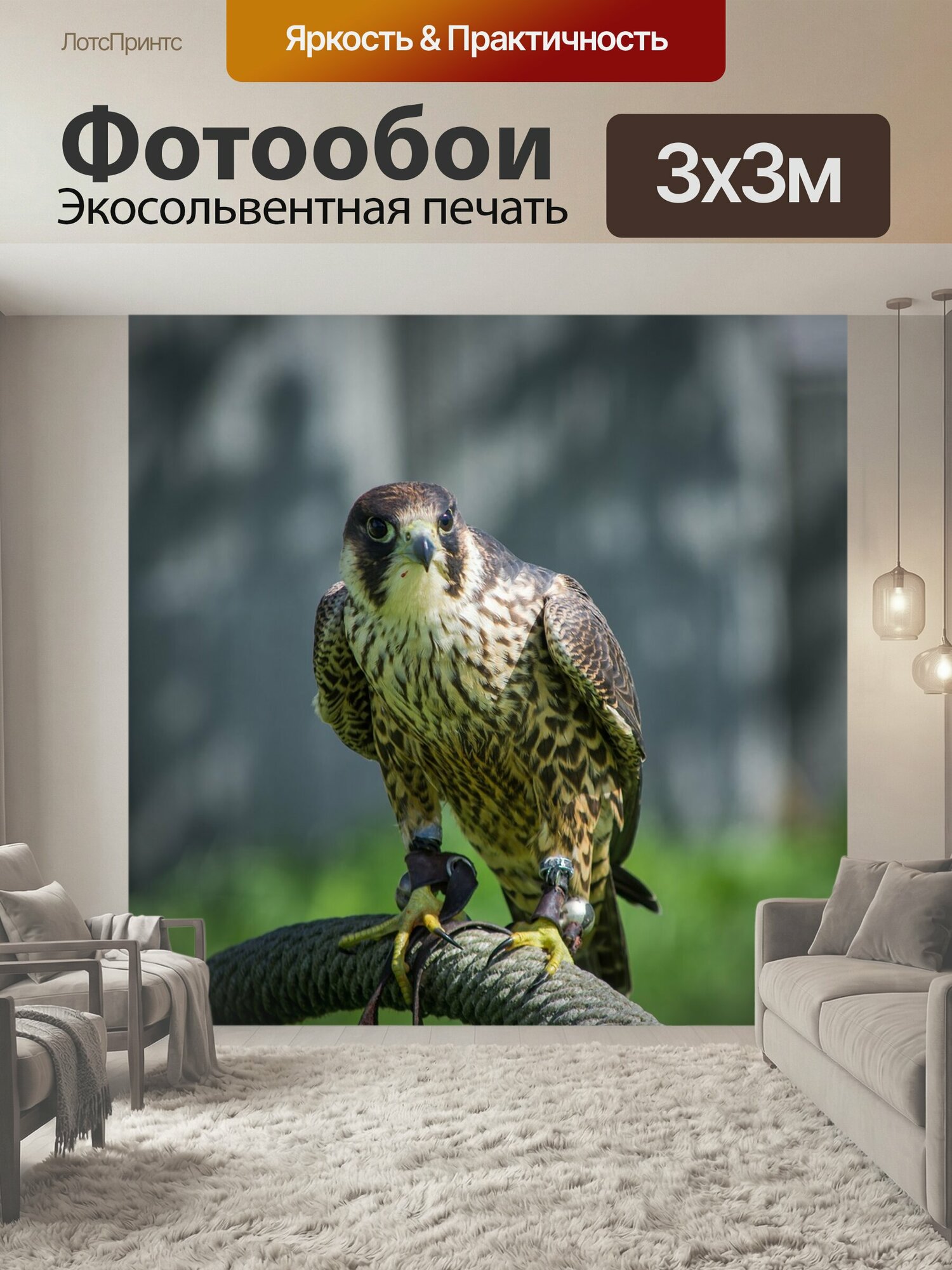 Фотообои "Сокол, соколиная охота, птица" 300x300 см. экосольвентная печать