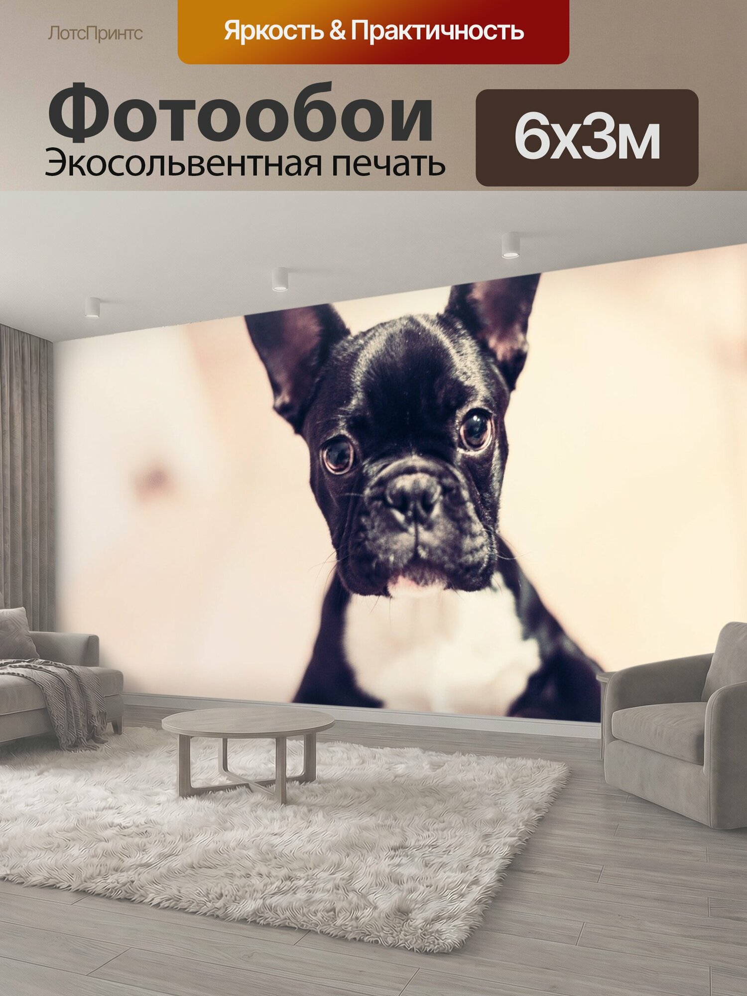 Фотообои "Собака, любопытный, животное" 600x300 см. экосольвентная печать