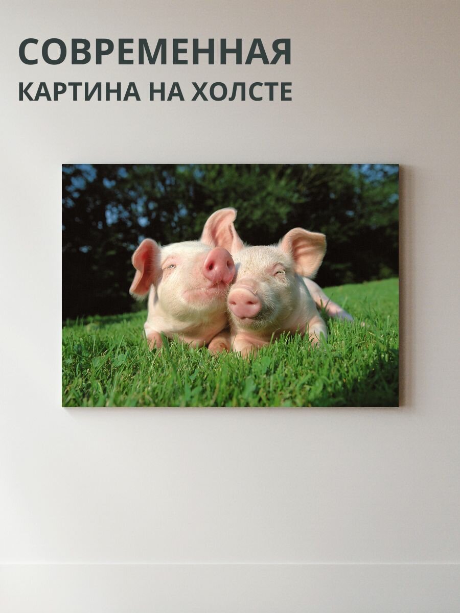 Картина на холсте Две свинки 70x50 см
