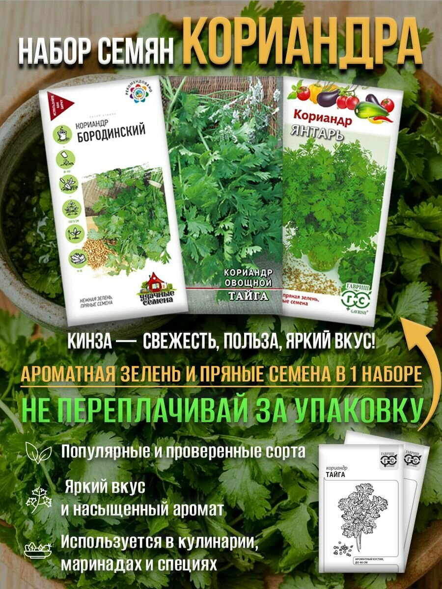 Кориандр , кинза семена для посадки набор : Тайга , Янтарь , Бородинский. семена кинзы семена кориандра для посадки набор сортов