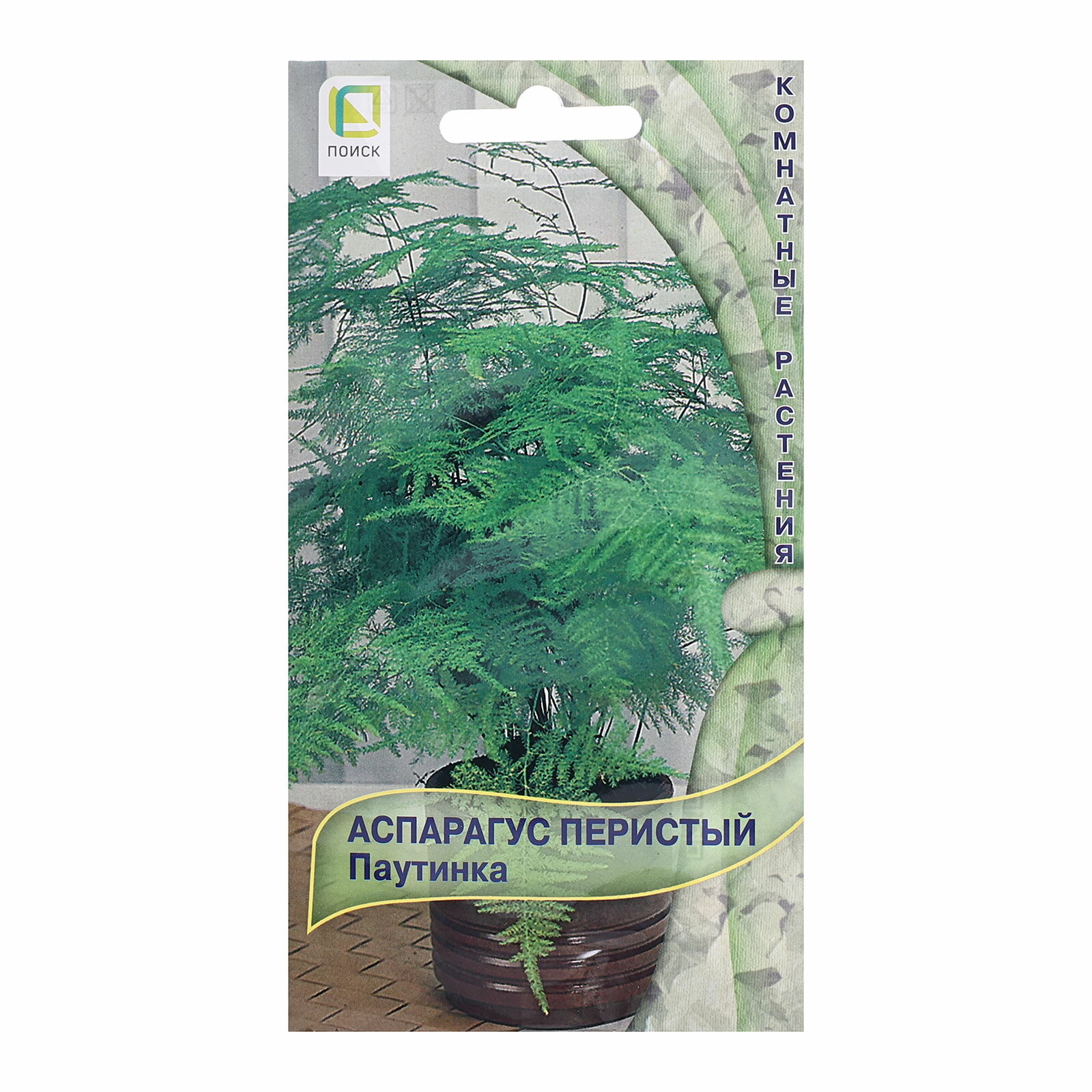 Семена цветов Аспарагус перистый "Паутинка", 5 шт, место выращивания: закрытый грунт (теплицы, укрытия)