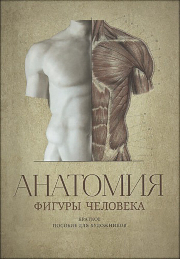 Анатомия фигуры человека: Краткое пособие для художников，Переиздание книг