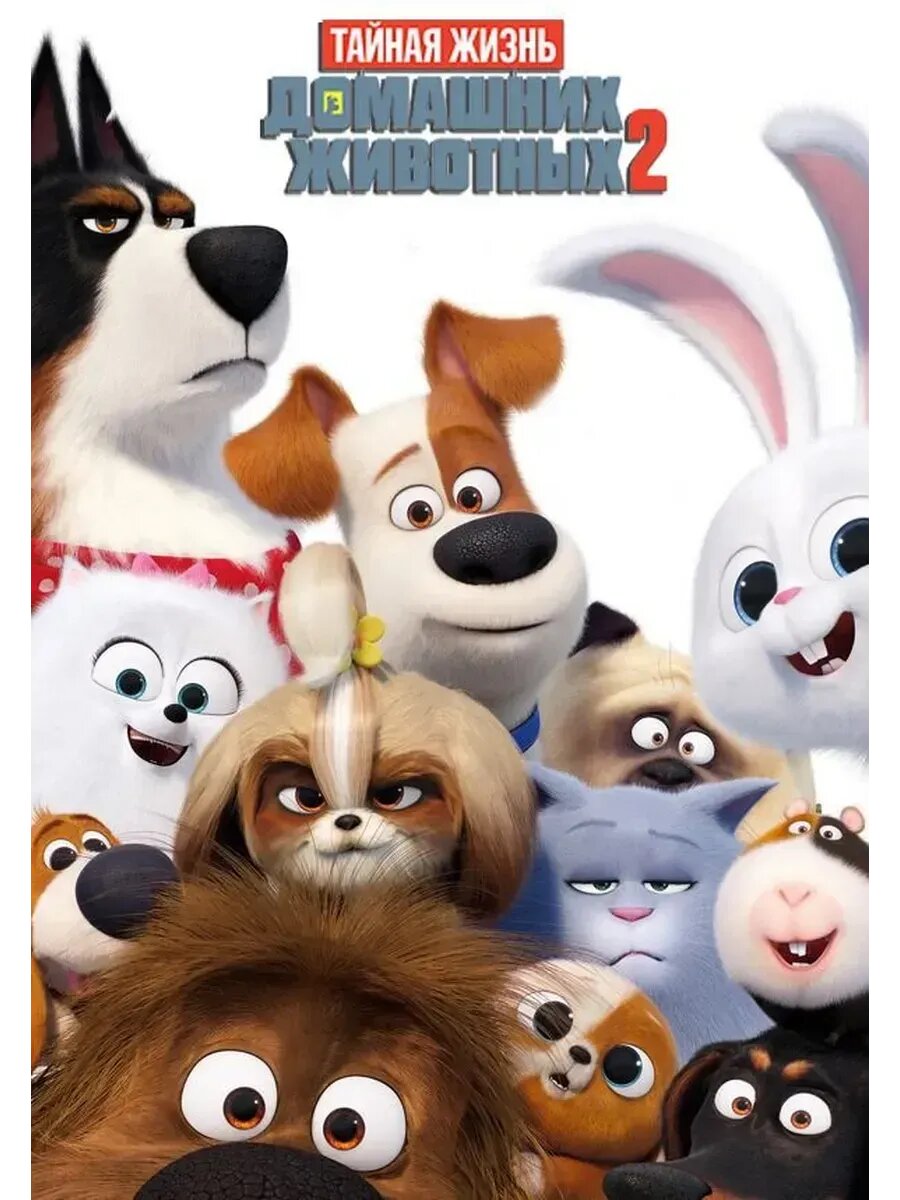 Тайная жизнь домашних животных 2 (2019) (флешка)