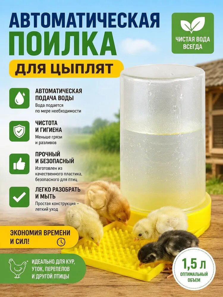 Автопоилка для цыплят с защитой от утопления. Удобная чашка-поилка для молодняка птицы