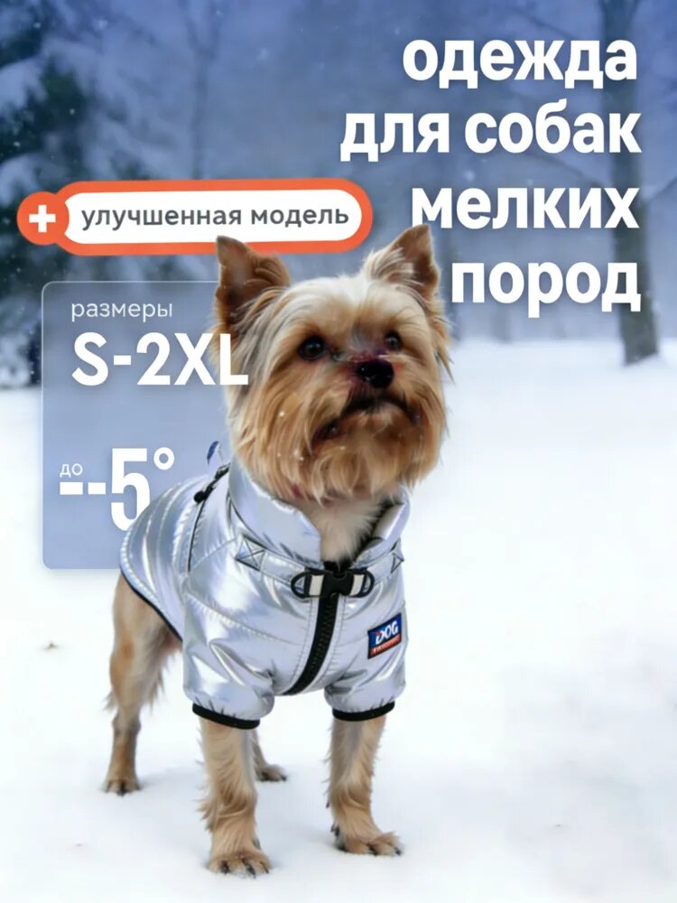 Одежда для собак мелких пород, Водонепроницаемые, светоотражающие и градиентные, защищающие от холода и бархата, чтобы сохранять тепло собак мелких пород