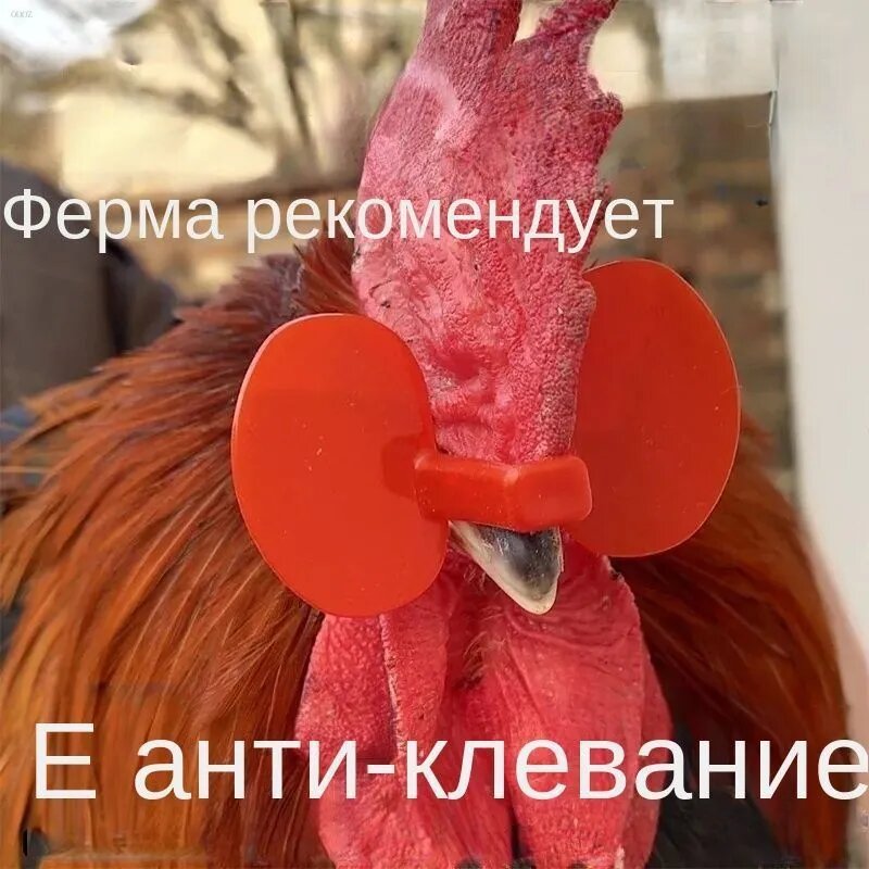 Очки от расклева для птиц, 50 шт, красные, 63*38 мм — фото 1