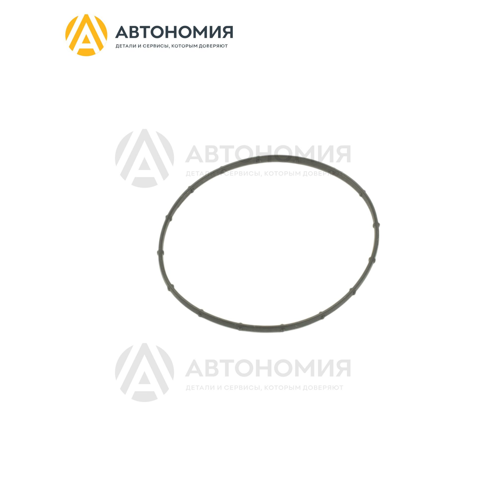 Прокладка вакуумного насоса BMW 11 66 7 610 690
