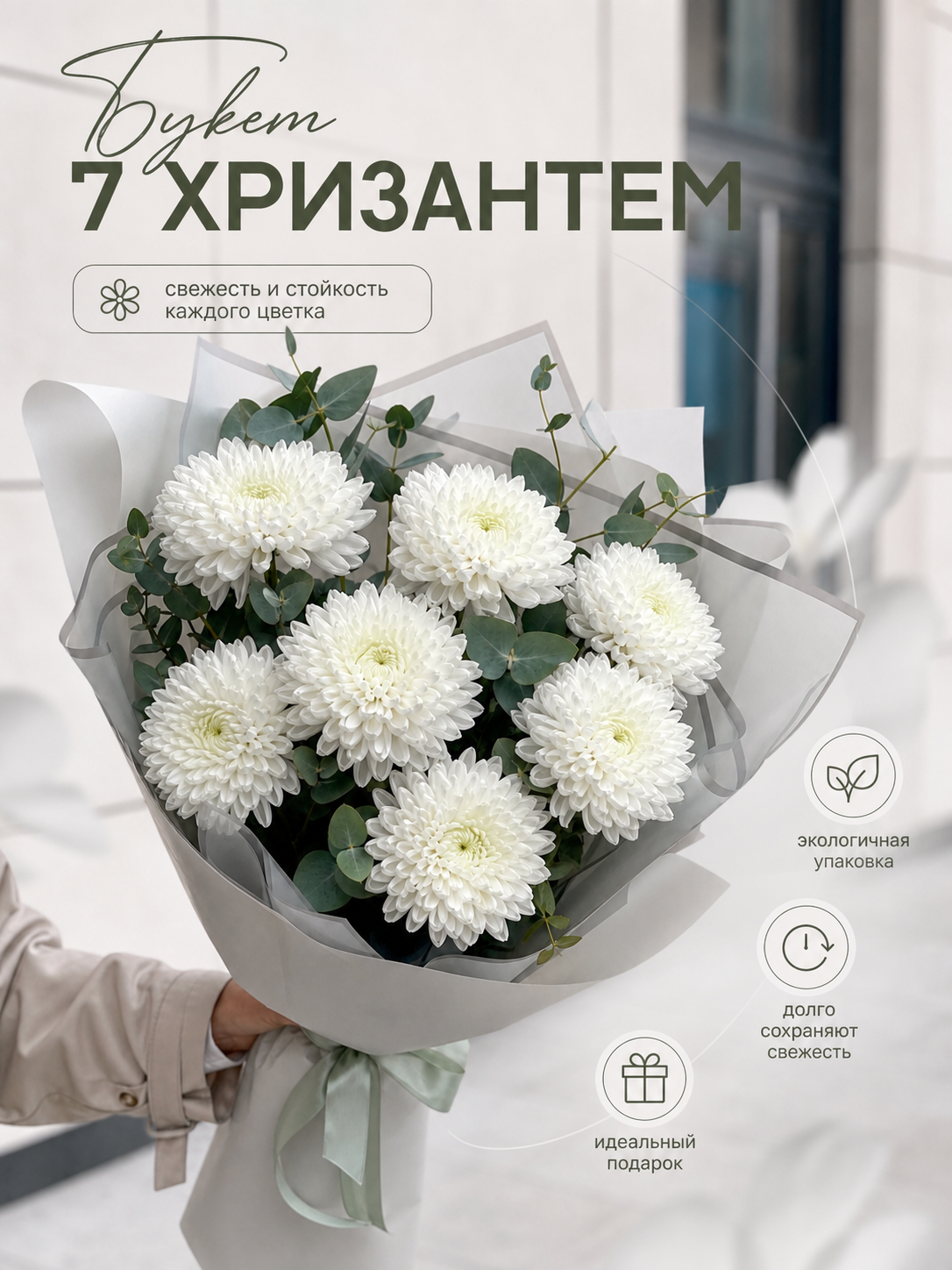Букет 7 белых хризантем с эвкалиптом, красивый букет из хризантем, живые цветы, монобукет, белые цветы