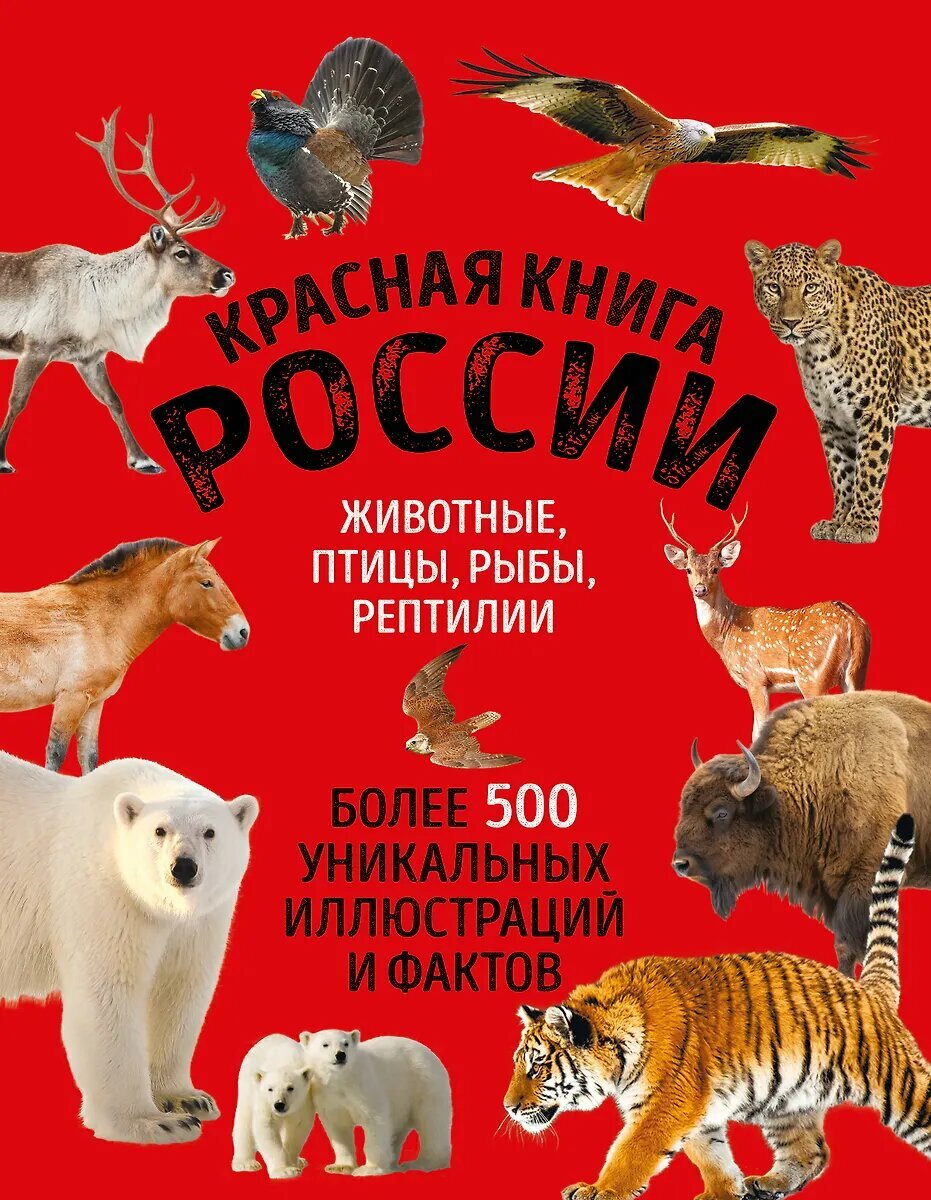 ЭКСМО Красная книга России. Большой формат. Более 500 уникальных иллюстраций и фактов новое издание основной, Добрыня Ю. М, 2026 г