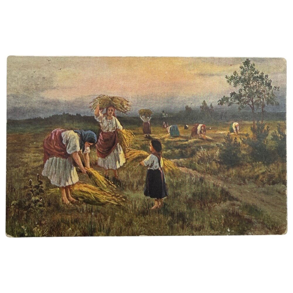 Почтовая открытка "Львов - Последние колосья" 1900-1917 гг. Российская Империя