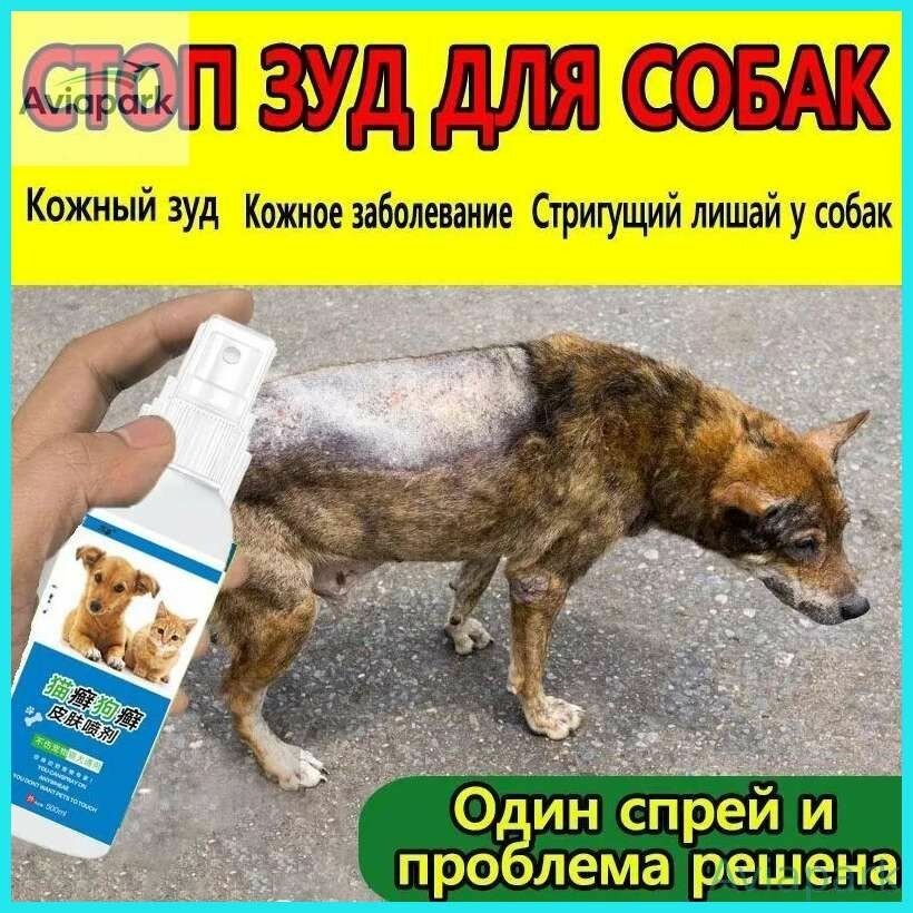 Акция ограниченная! Спрей против зуда и шелушения у собак кошек