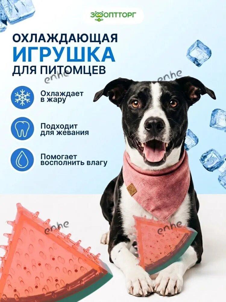 Охлаждающая игрушка M-Pets для собак и щенков Арбуз 13,5 см