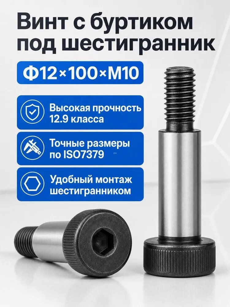 Винт М10 x 12 x 100 мм, головка: Круглая, 10 шт. 130 г
