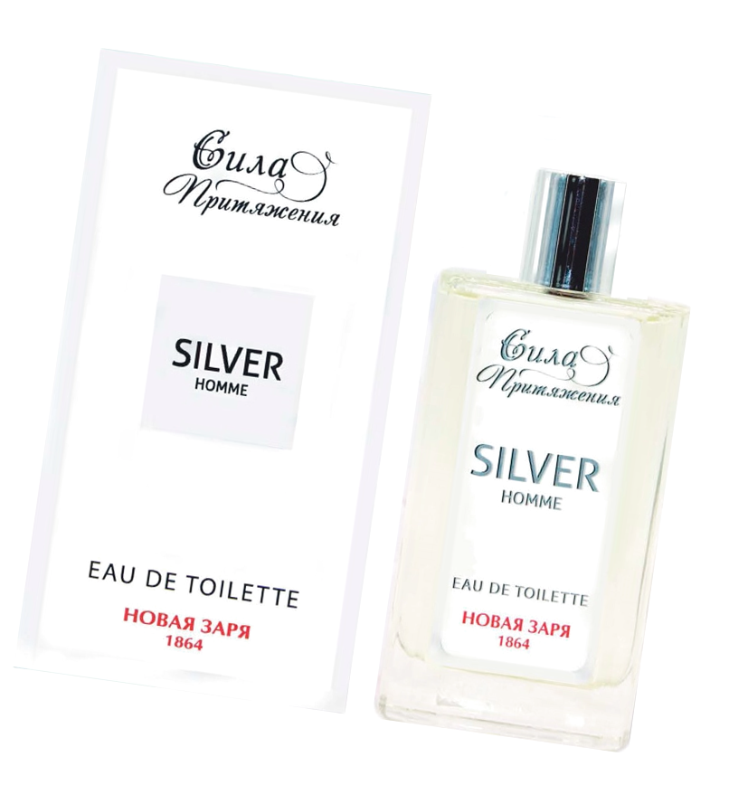 Nouvelle Etoile Silver туалетная вода 100 мл мужская - Новая Заря Серебро парфюм