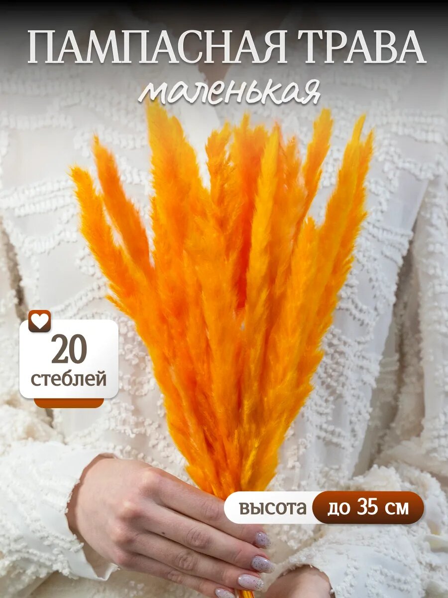 Пампасная трава мини 20 шт сухоцветы для декора