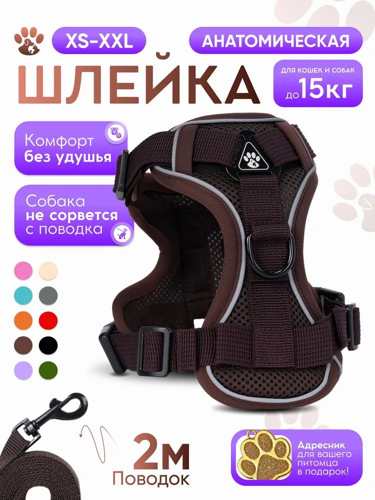 Шлейка для собак мелких пород анатомическая, с поводком , размер M, цвет коричневый