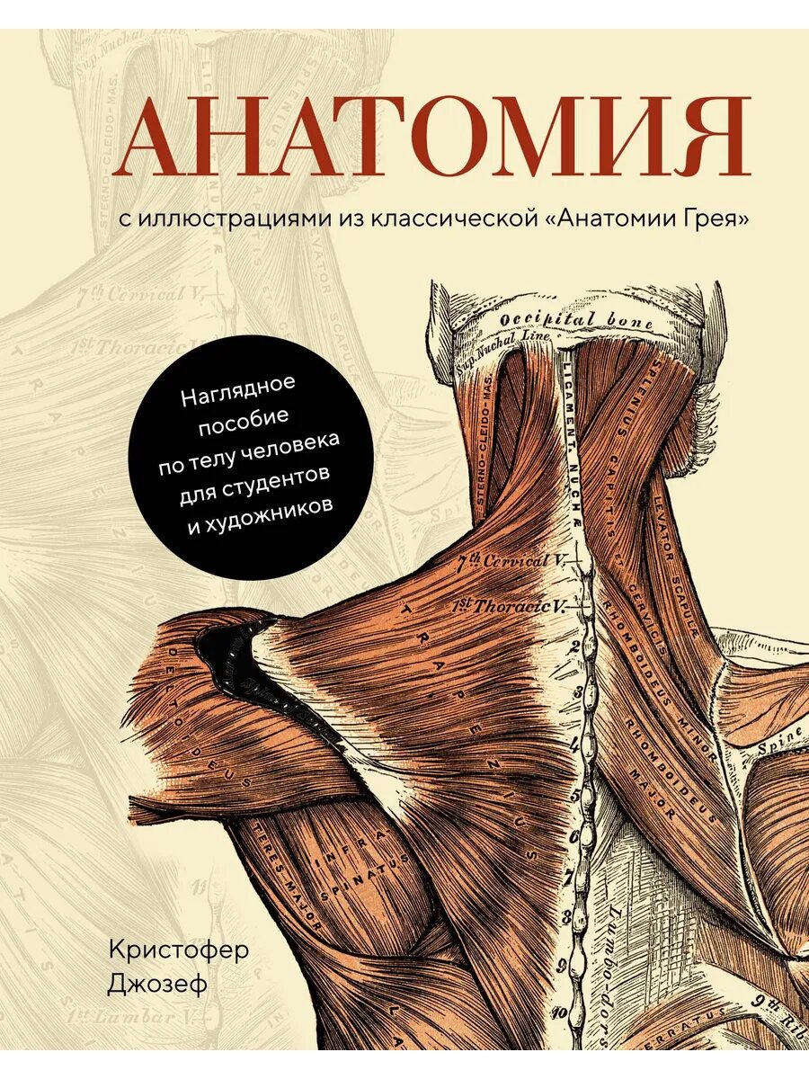 Книга Анатомия (с иллюстрациями из классической ? Анатомии Г