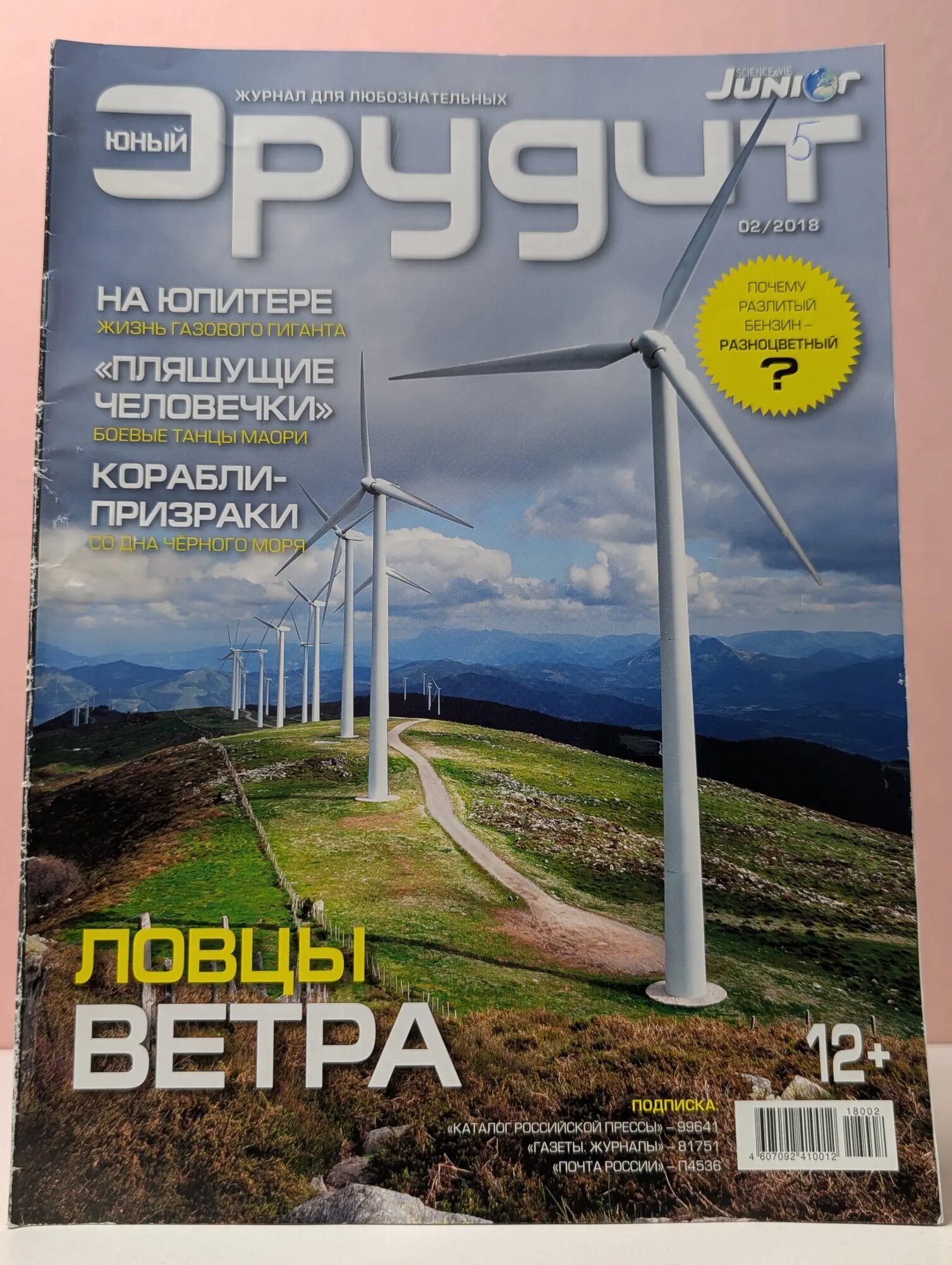 Юный эрудит. Выпуск № 2/2018 Милютенок Елена Владимировна 2018