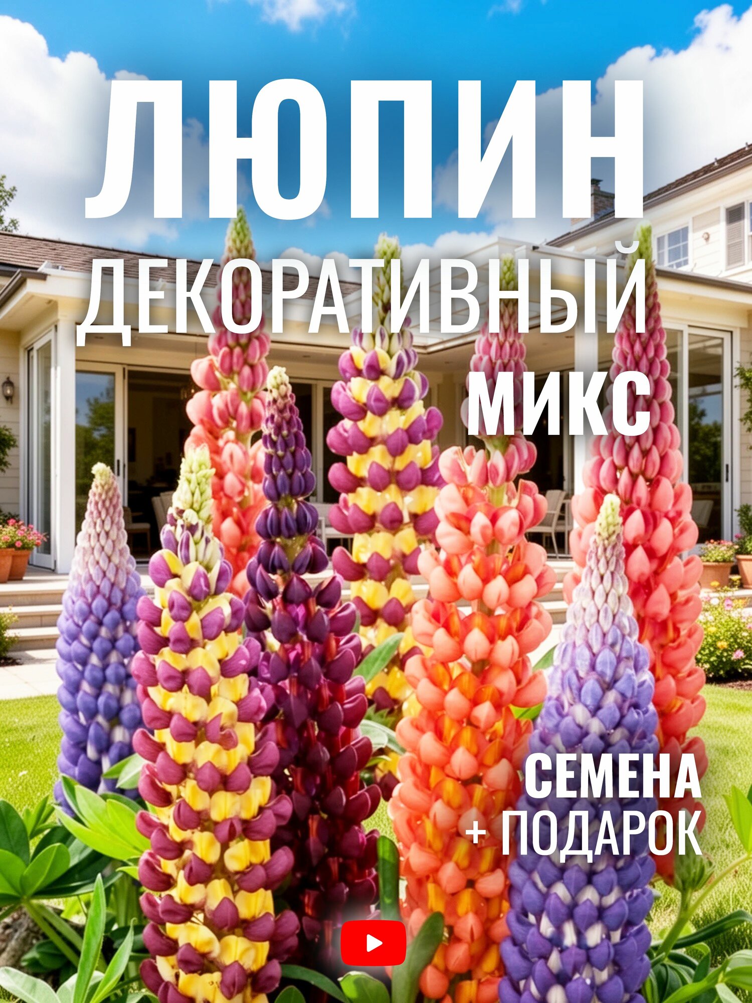 Люпин Декоративный Микс, Семена, 30 шт, цветы для сада, смесь сортов, разнообразное яркое цветение для посадки для клумбы цветочная смесь