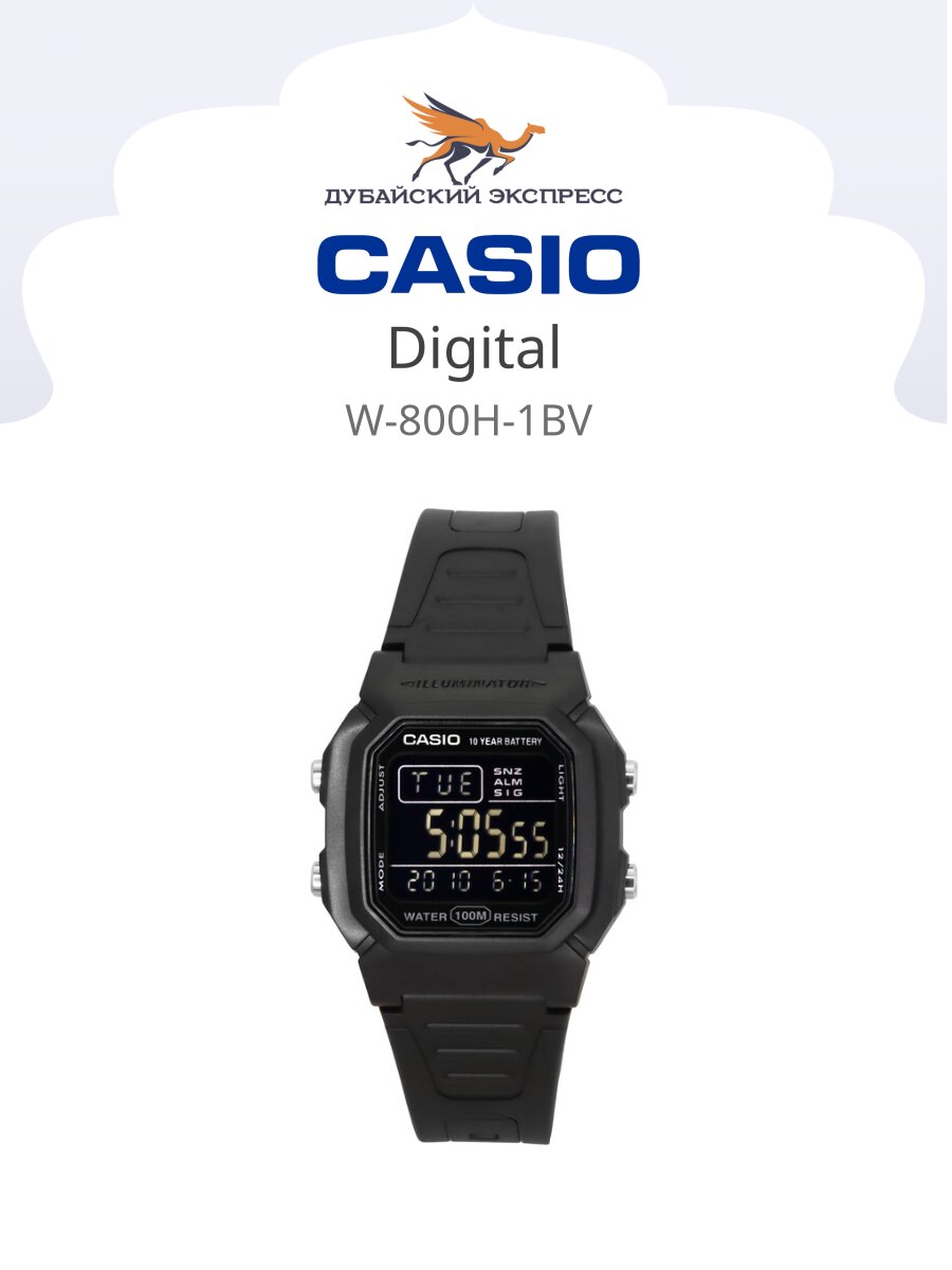  CASIO