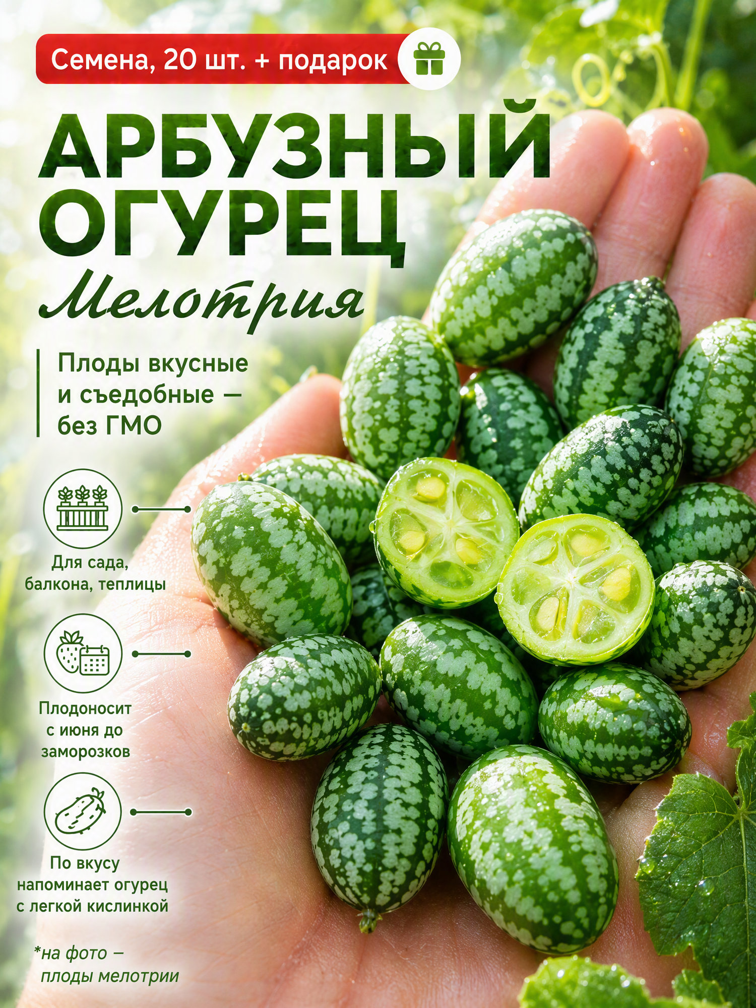 Арбузный огурец Мелотрия, Семена, 20 шт, семена декоративных растений, семена овощей