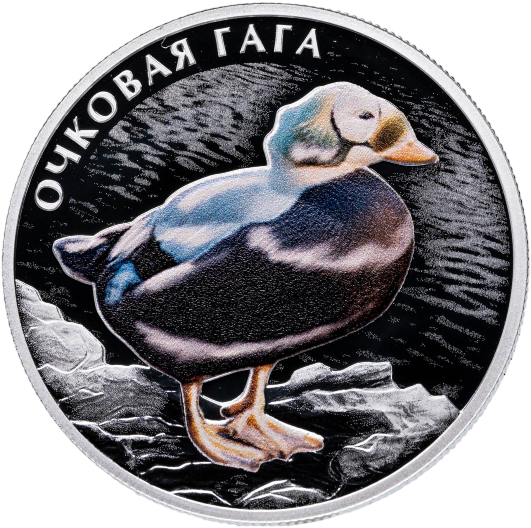 2 рубля 2026 СПМД Proof "Очковая гага — Красная книга", Серебро 925