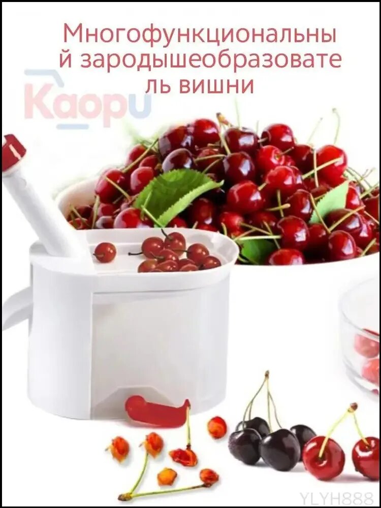 Отделитель косточек