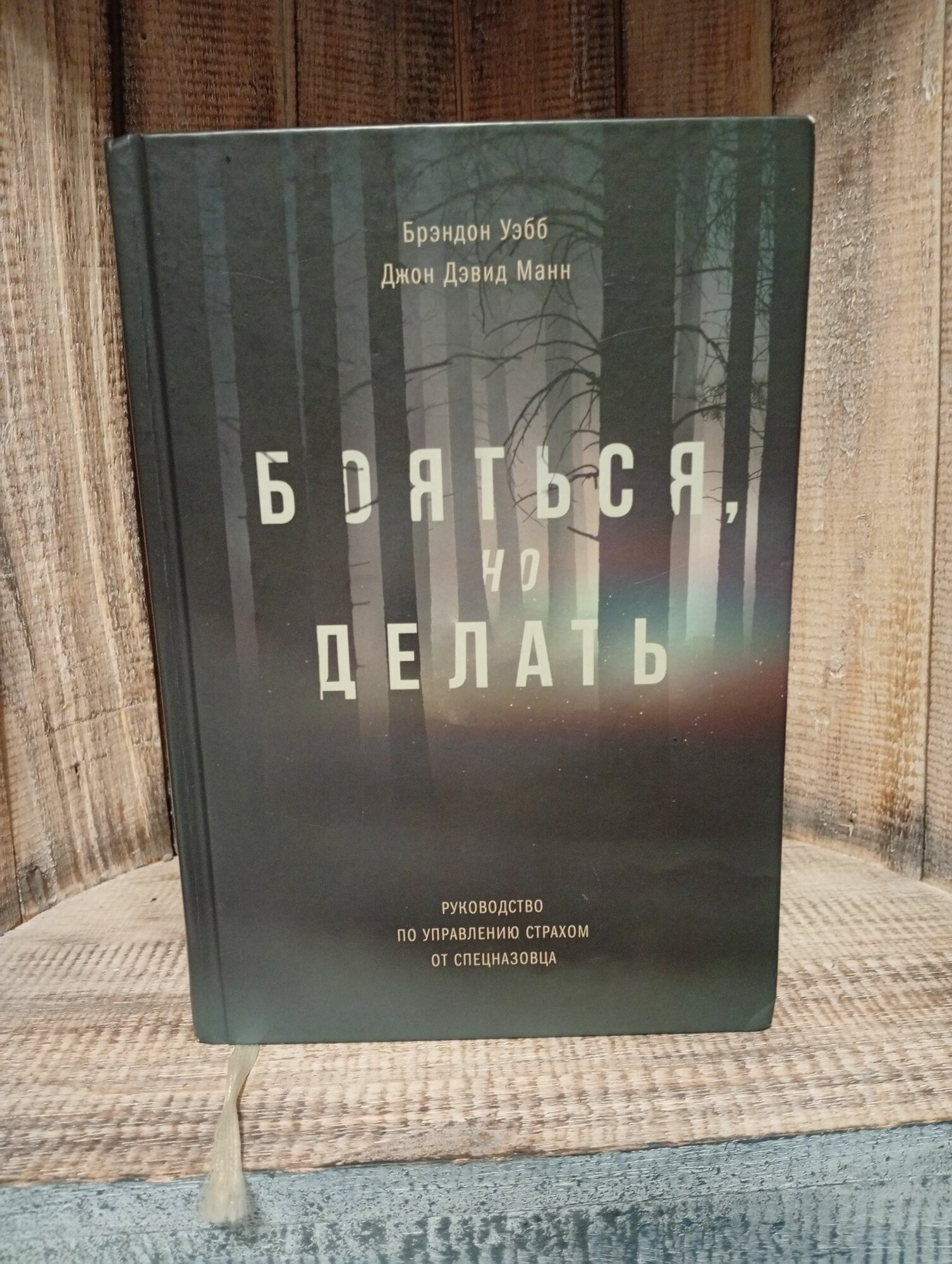 Бояться, но делать. Руководство по управлению страхом от спецназовца Уэбб Брэндон, Манн Джон Дэвид