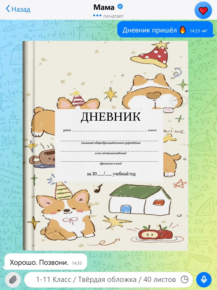 Школьный дневник с принтом Роблокс