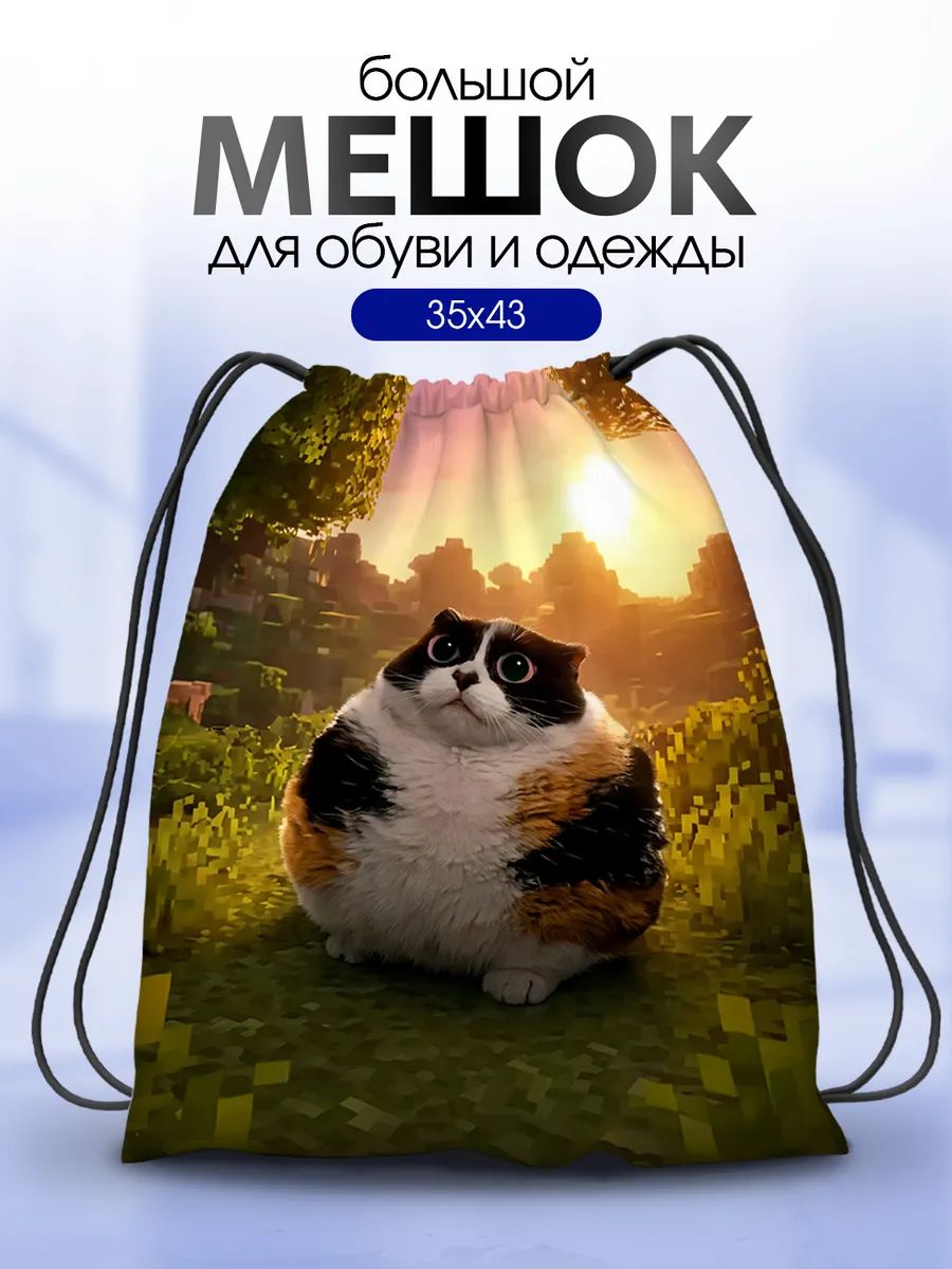 Мешок для обуви для сменки в школу Мем Котость