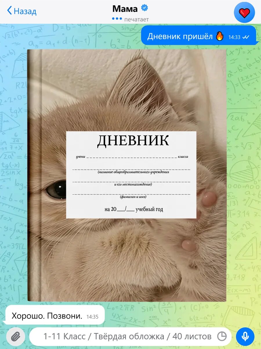 Школьный дневник с принтом Роблокс