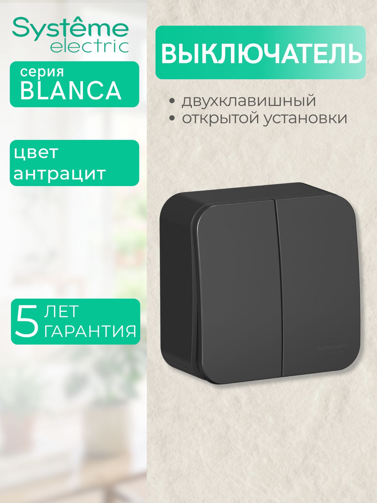 BLANCA выключатель Двухклавишный открытой установки (сх.1) 10 Ампер, антрацит BLNVA105016 Systeme Electric