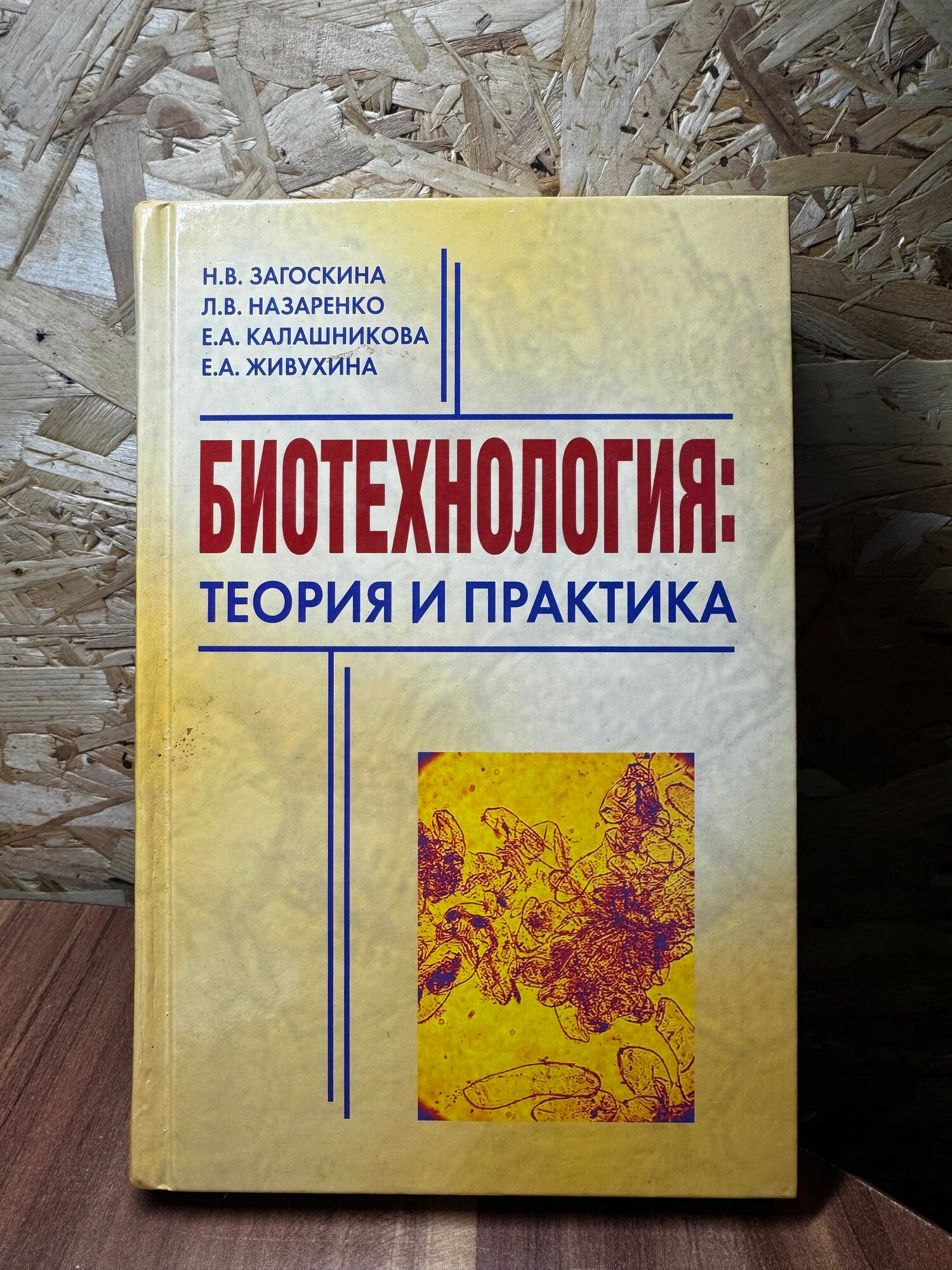 Биотехнология. Теория и практика
