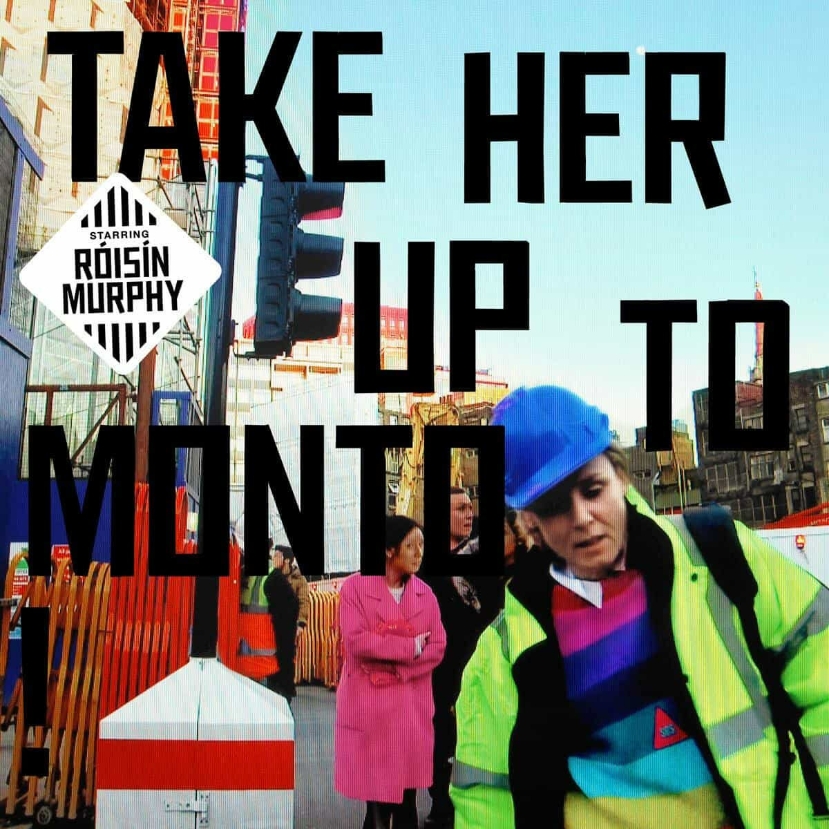Roisin Murphy - Take Her Up To Monto - новая виниловая пластинка