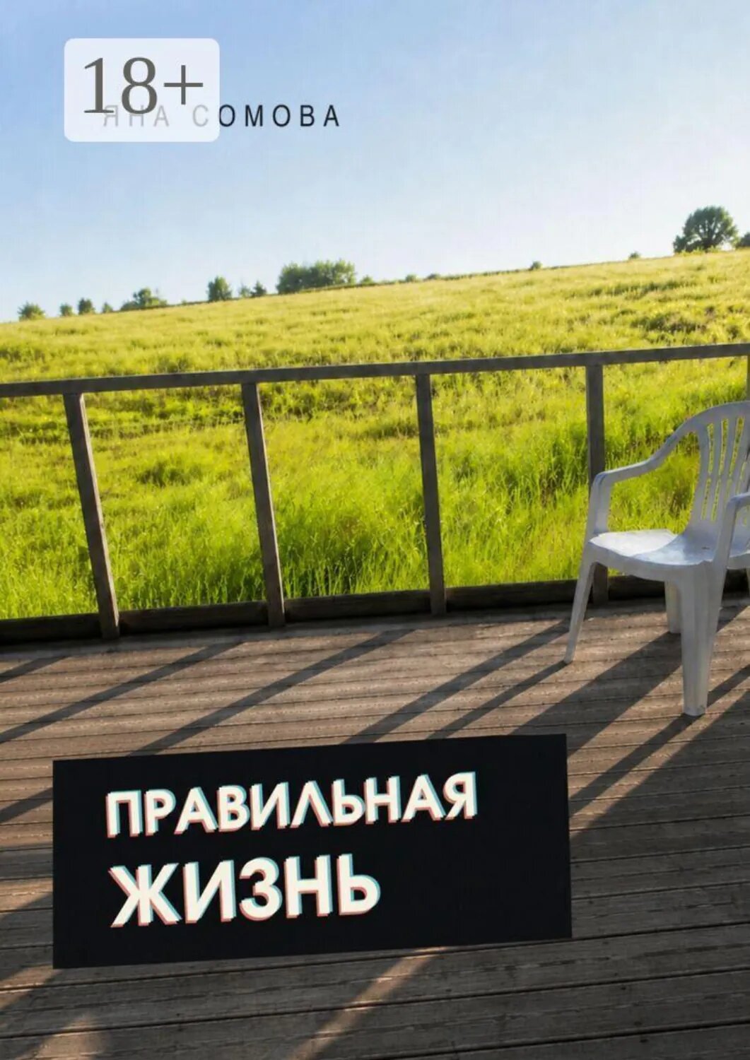 Правильная жизнь [Цифровая книга]