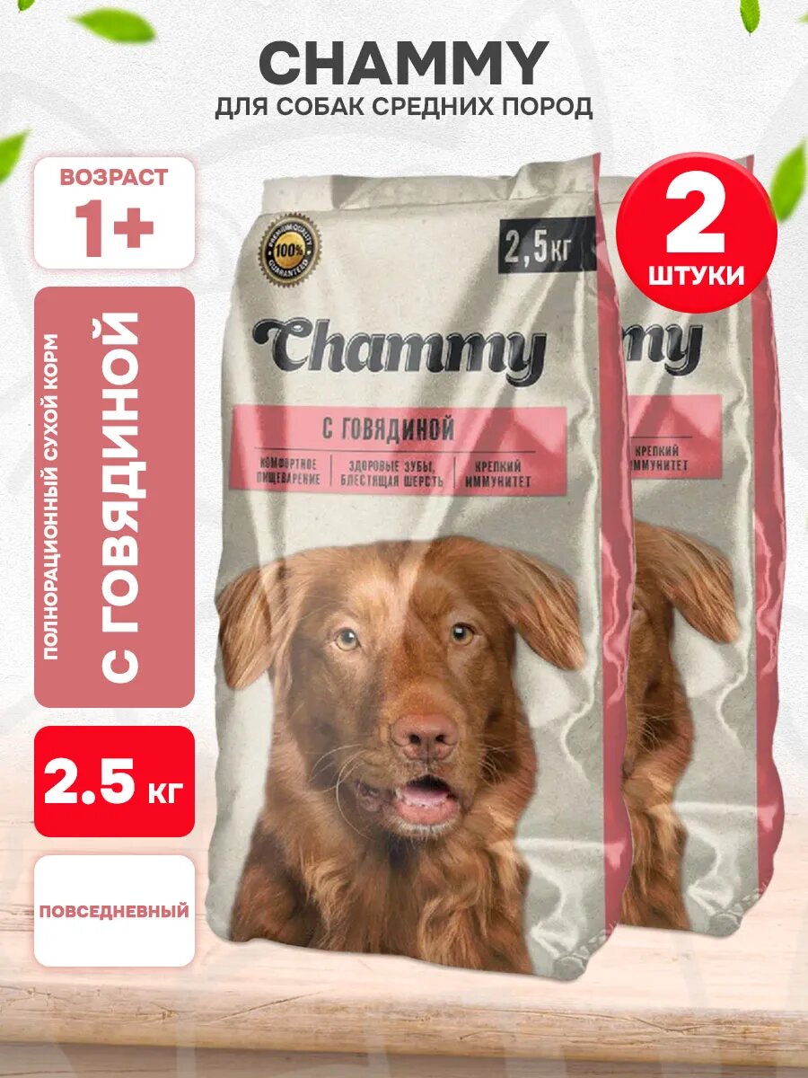 Корм сухой Chammy для взрослых собак средних пород, говядина, 2,5 кг 2 шт