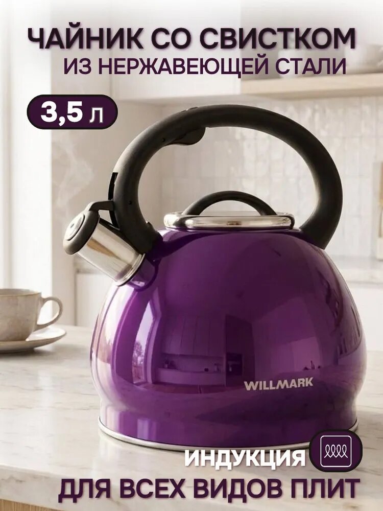 Чайник из нержавеющей стали WILLMARK WTK-4221SS 3,5л