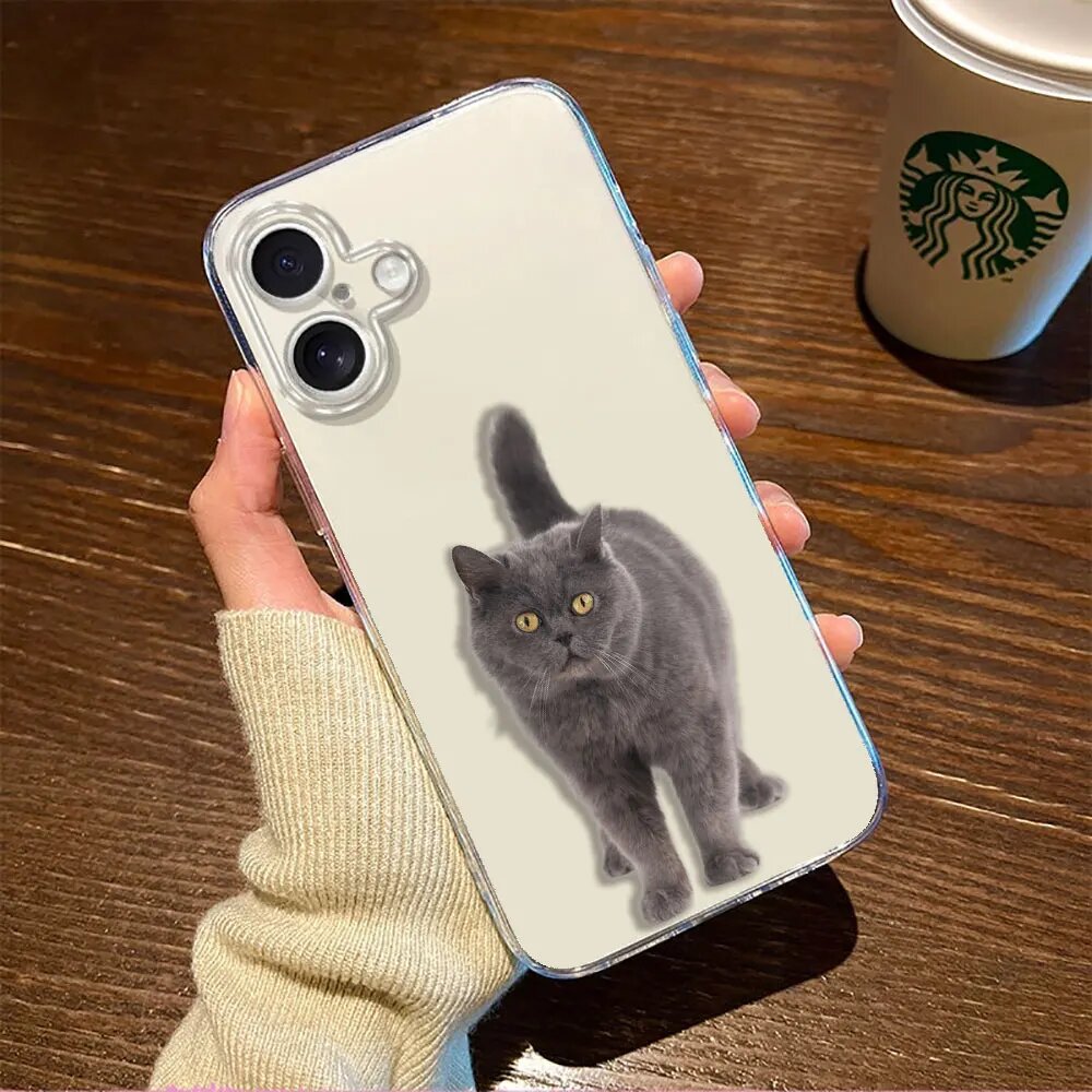 Прозрачный чехол для телефона с изображением бело-серой кошки для iPhone Apple 17 PTTM08, IPHONE12