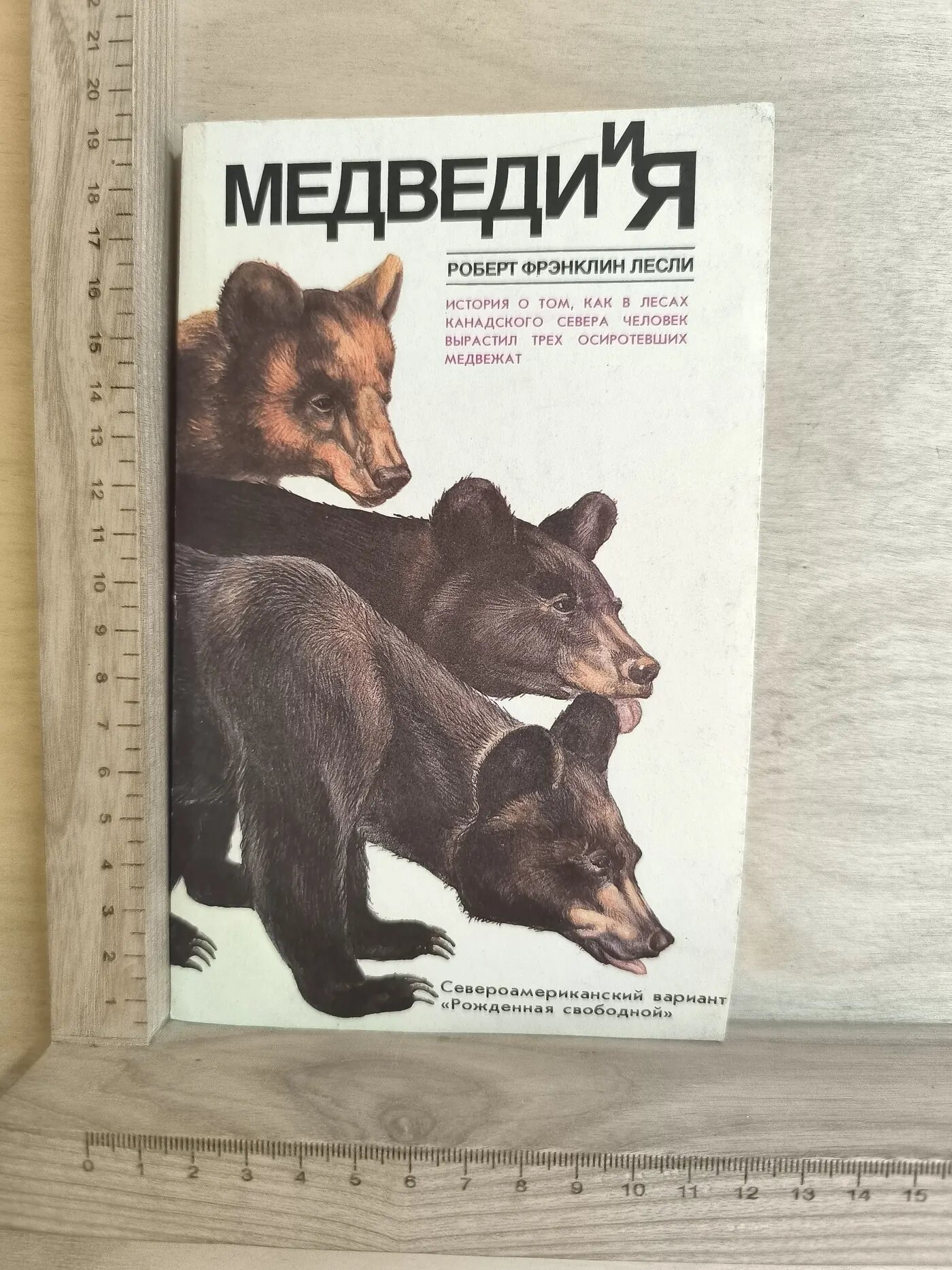 Медведи и я