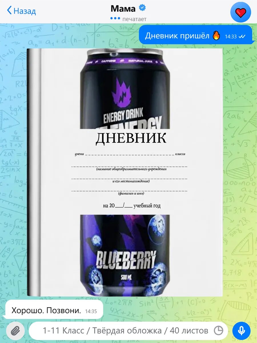 Школьный дневник с принтом Роблокс