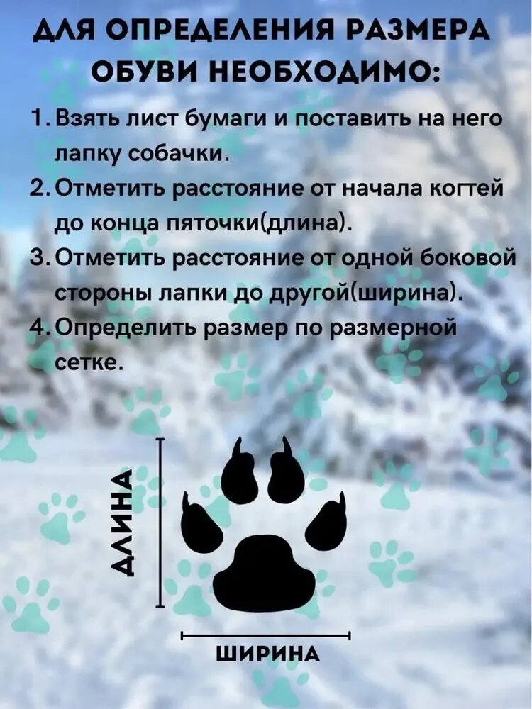 Обувь для собак — фото 1