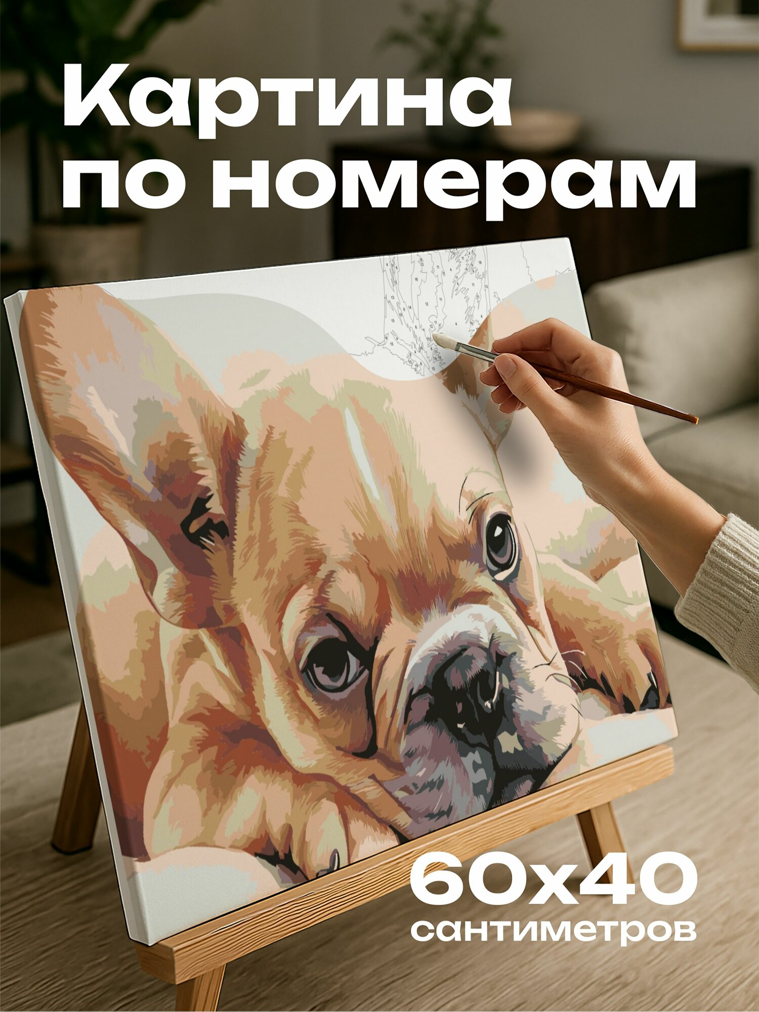 Картина по номерам 60x40 см, акварель, французский бульдог, щенок, пастельные краски, нежные мазки, невинность