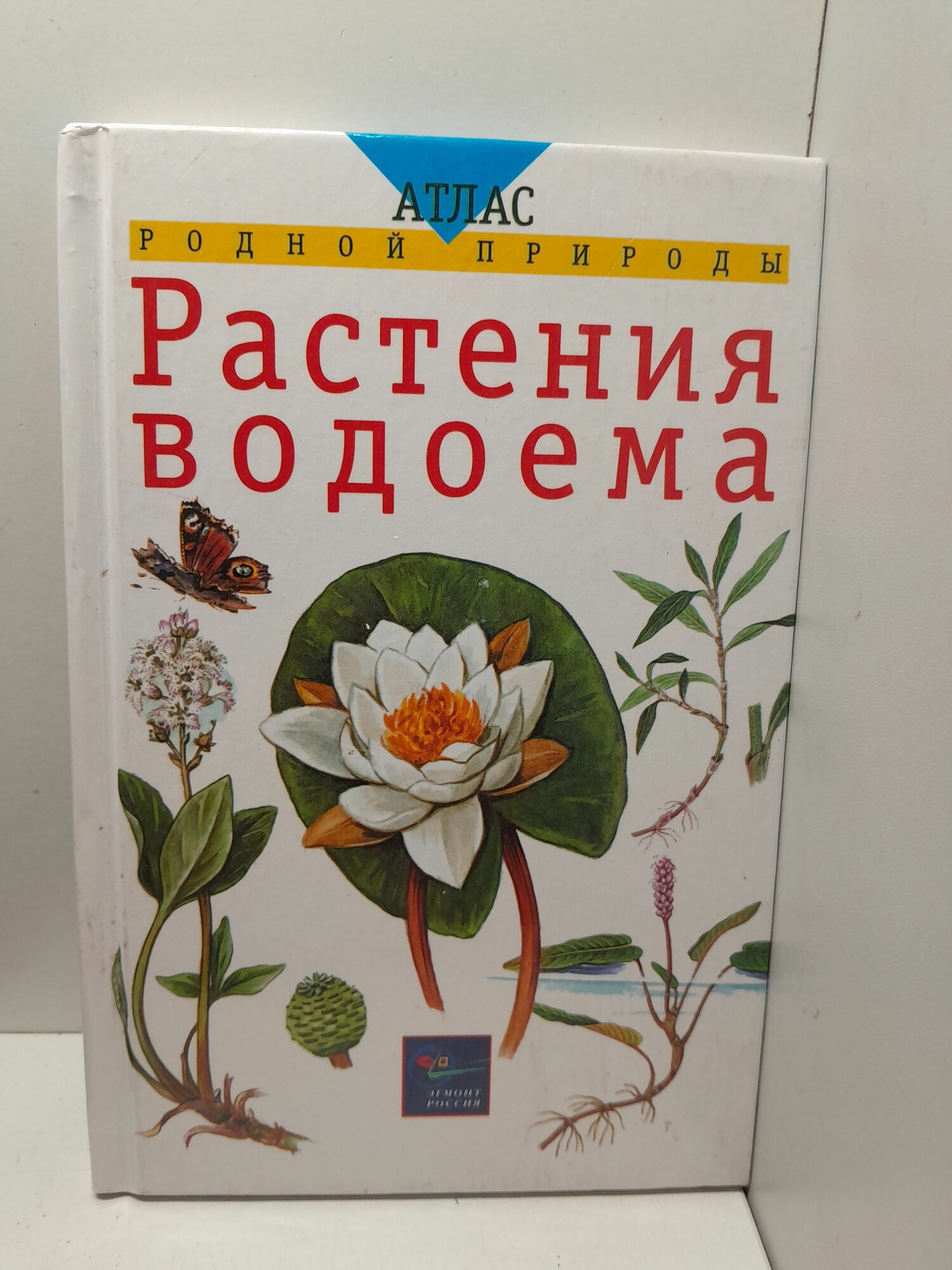 Растения водоема. Учебное пособие для школьников младших и средних классов / Козлова Татьяна